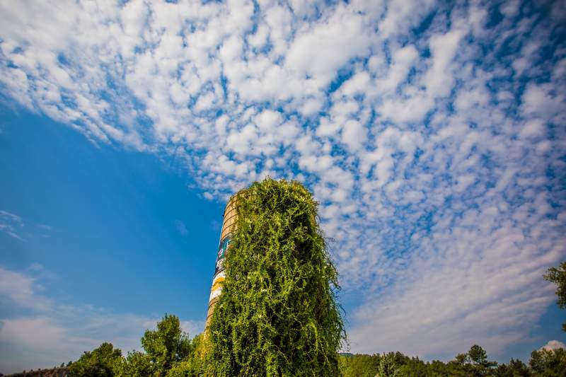 Archive — Planet Bluegrass • Colorado Music Festivals & Concerts ...